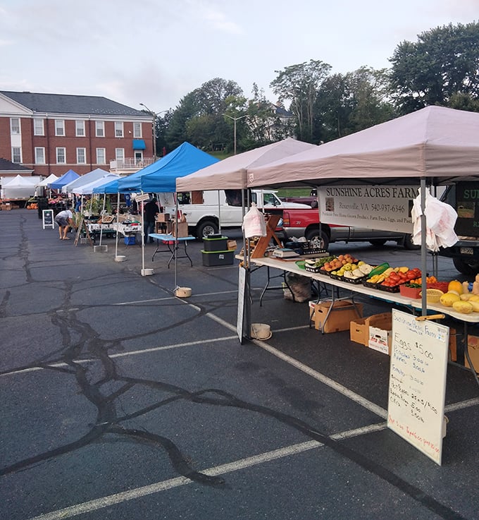 The Downtown Farmer's Market transforms a parking lot into a festival of flavors where "locally sourced" isn't a trend – it's just Thursday.