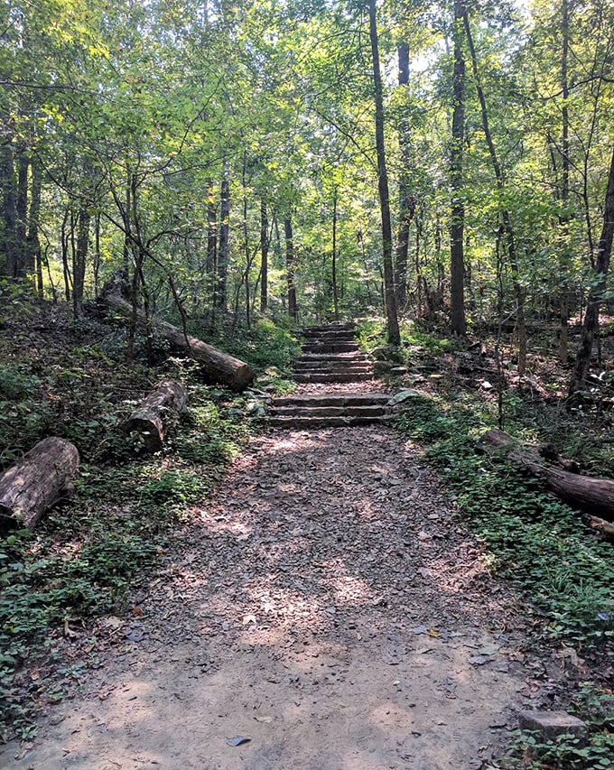 These forest stairs don't need a StairMaster membership—they'll give you a workout while leading you through some of the Ozarks' most enchanting woodland.