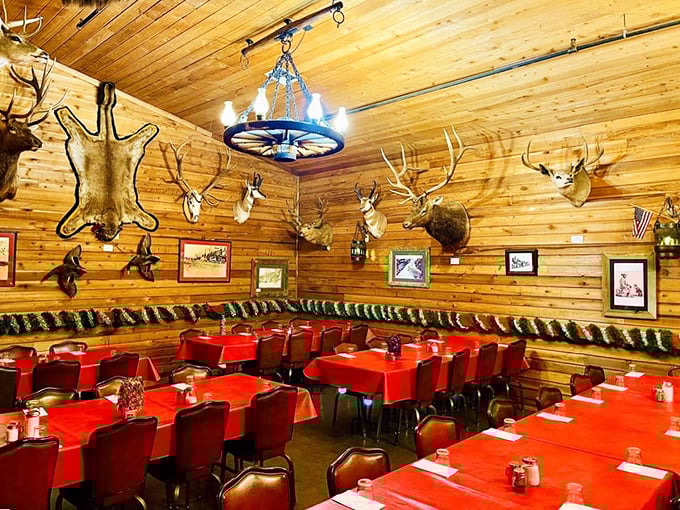 Where hunting lodge meets dining room. Those trophy mounts aren't just watching you eat—they're silently approving your excellent taste in steakhouses.