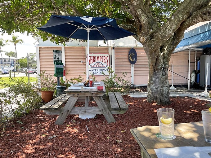 Your four-legged copilot gets a front-row seat to watch you devour fish and chips – judge-free zone.