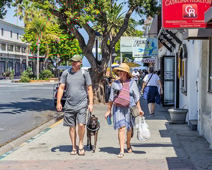 Downtown Avalon's tree-lined streets invite leisurely strolls between boutiques, restaurants, and the occasional stop to pet a friendly island dog.