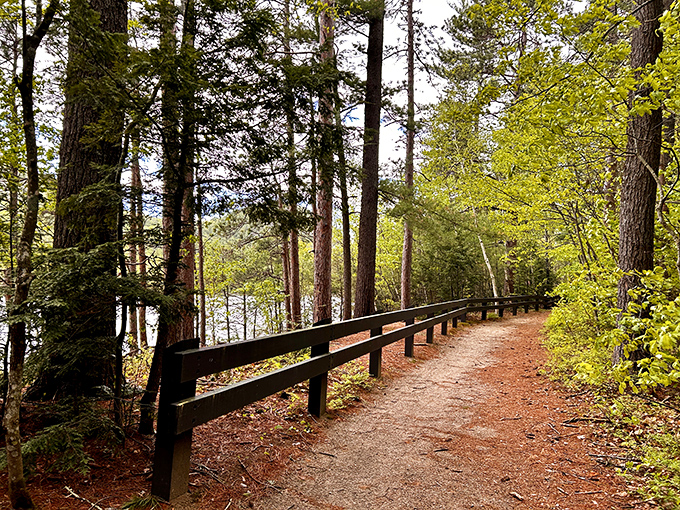 Walking paths that promise adventure without requiring survival skills—Conway's perfect balance of wilderness and accessibility.