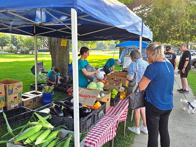 The farmers market showcases the agricultural bounty of the region – where "farm-to-table" isn't a restaurant gimmick but simply how things have always been done.