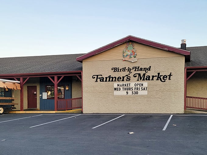 Bird-in-Hand Farmers Market – where Wednesday through Saturday mornings become treasure hunting expeditions for your taste buds.