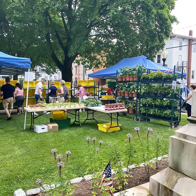 The Farmers Market offers nature's bounty and neighborly chatter—retirement's perfect Saturday morning doesn't need to break the bank.