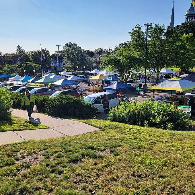 The local farmers market transforms parking lots into bustling social hubs where fresh produce costs less than your monthly streaming subscriptions.