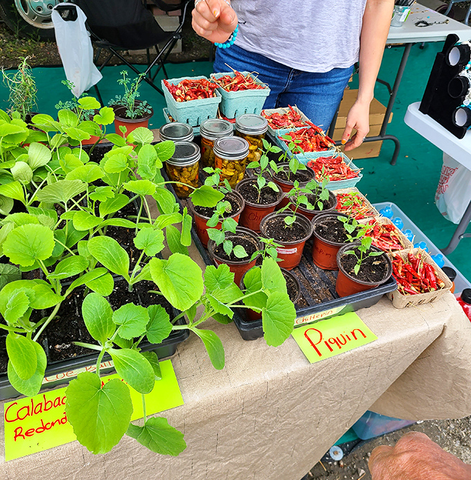 From garden to table in mere footsteps—seedlings, chiles, and homegrown possibilities await the ambitious home cook.