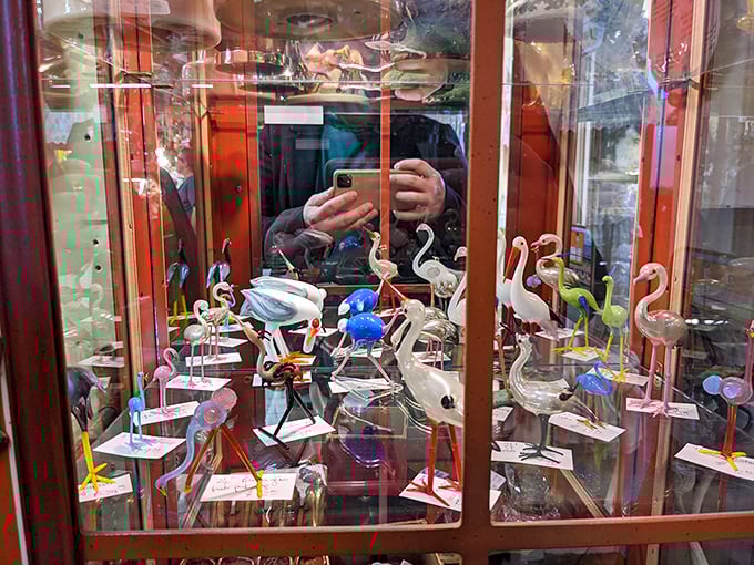 A flock of glass flamingos stands eternally poised in their display case habitat. Pink birds that never need feeding—just occasional dusting.