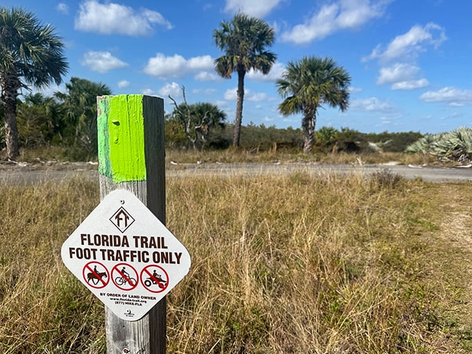 The Florida Trail marker stands as a humble invitation to one of America's great long-distance hikes—no crowds, no lines, just you and wild Florida.