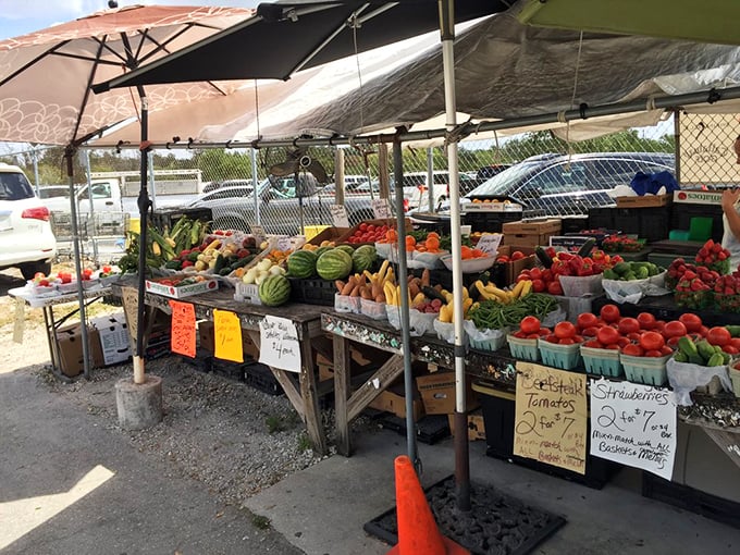 Farm-fresh produce that didn't spend more time traveling than you did. Tomatoes that actually taste like tomatoes—imagine that!