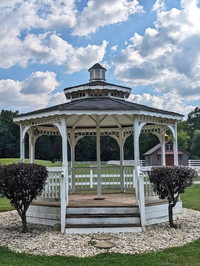 This gazebo isn't just sitting pretty—it's practically begging for morning coffee, afternoon reading, or evening wine as the fireflies begin their dance.