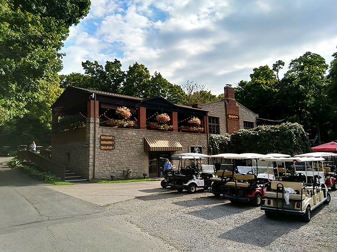 Golf cart central! These island chariots await their next adventure—the preferred mode of transportation for exploring Put-in-Bay's winding roads.
