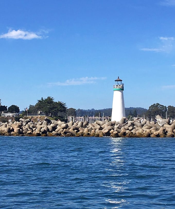 The marina's forest of masts creates the perfect foreground for a lighthouse that never gets tired of being photographed.
