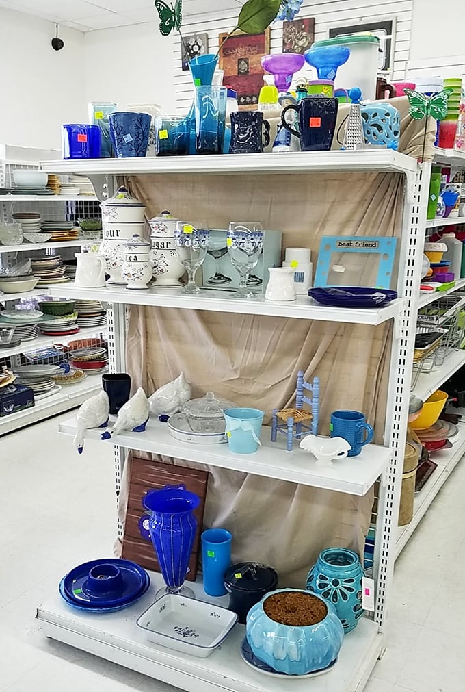 Glassware in every hue creates an impromptu stained-glass effect – cobalt blue vases and turquoise bowls catching the fluorescent light.