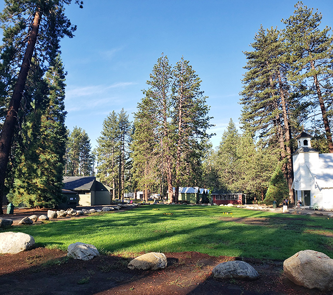 Towering pines create nature's cathedral at this peaceful camp. The kind of place that makes you whisper automatically, even outdoors.