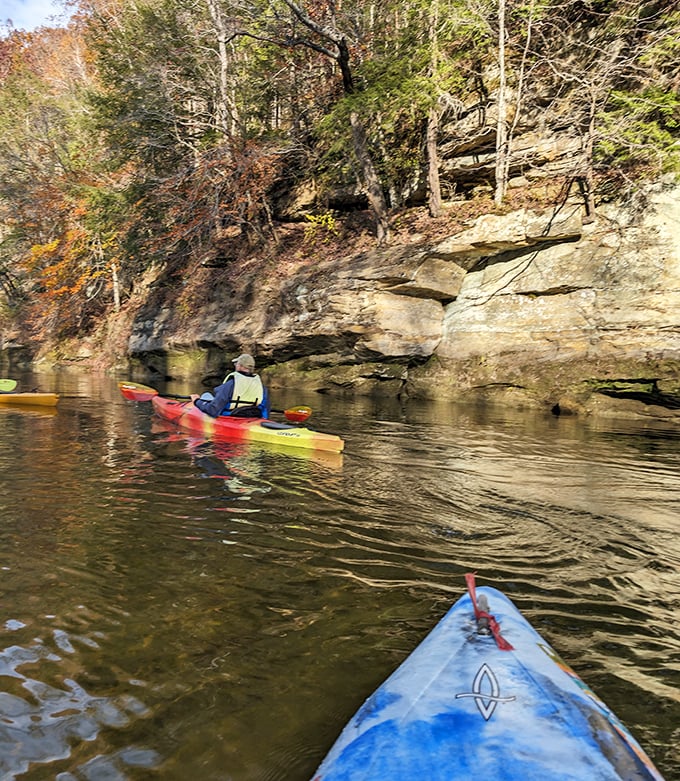 Kayaking Sugar Creek offers front-row seats to the geological show – million-year-old cliffs from the comfort of your floating plastic throne.