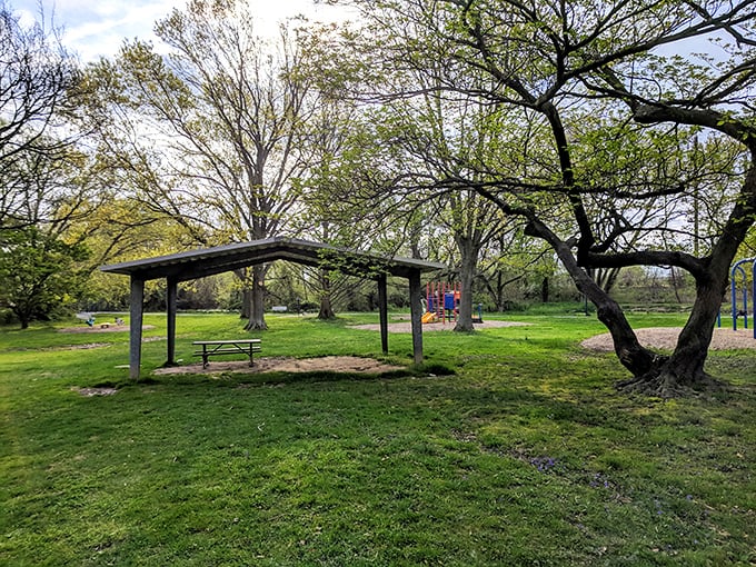 The simple pleasure of a neighborhood park pavilion—where birthday parties, family reunions, and impromptu picnics create the backdrop of community life.