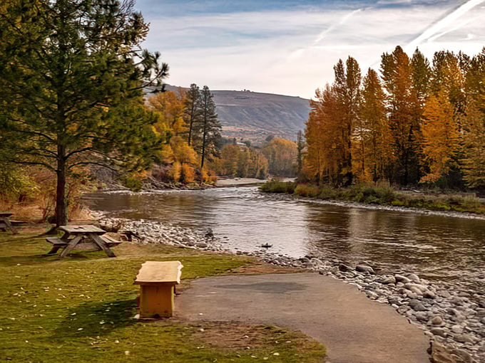Autumn transforms the Methow River into a painter's dream, where golden trees reflect in waters that have been carving this valley since before postcards existed.