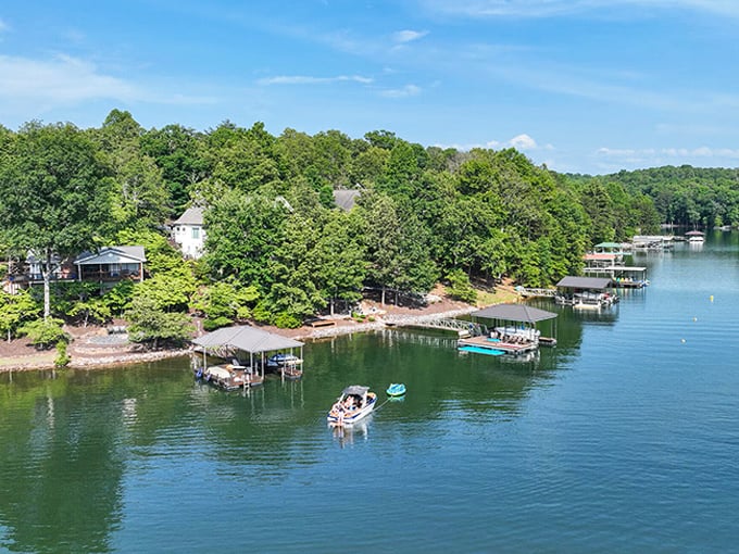 Nottely Lake's shoreline homes offer that perfect blend of privacy and paradise. Boat ownership suddenly seems like the most sensible financial decision ever.