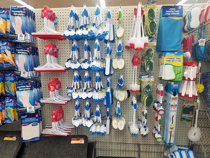 Cleaning tools standing at attention, ready to tackle any mess without destroying your bank account.