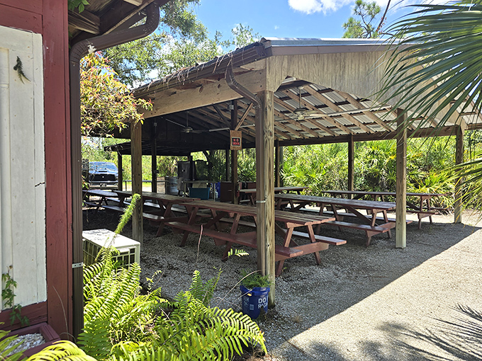 Covered outdoor seating surrounded by palms and ferns creates the perfect Florida dining atmosphere – no air conditioning required.