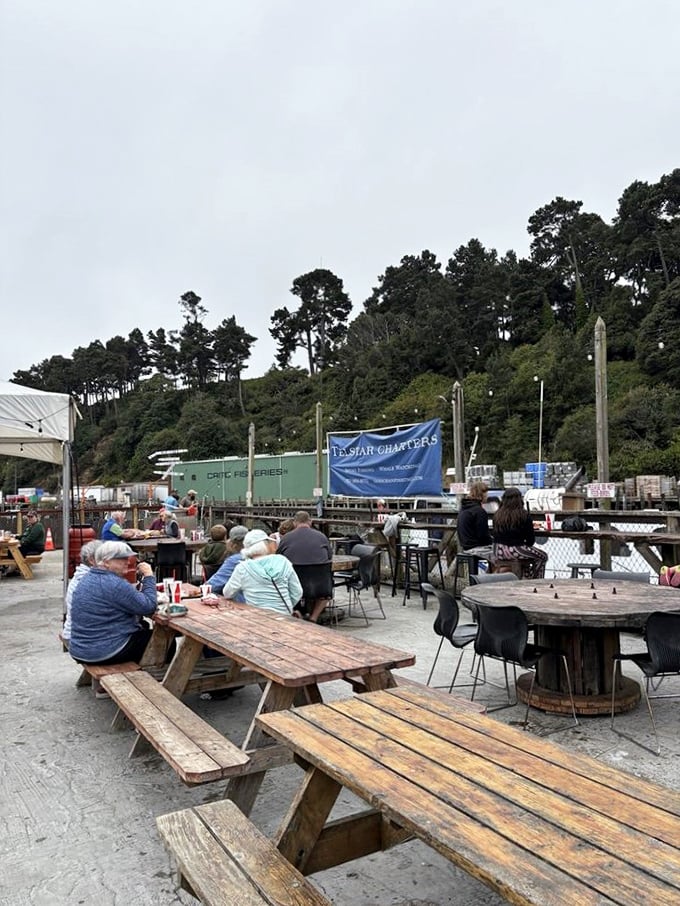 Weather-worn picnic tables with ocean views—this is where you'll contemplate whether ordering another deep-fried cheesecake is acceptable behavior.