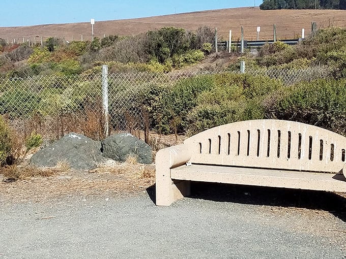 This weathered bench offers more than just a seat—it's front-row tickets to nature's greatest show, with no reservation required.