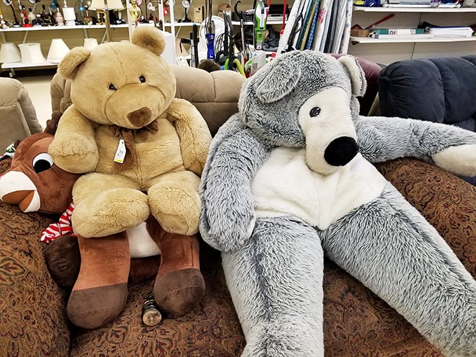 The stuffed animal retirement community looks pretty cozy. These huggable friends are just waiting for their next cuddle assignment.