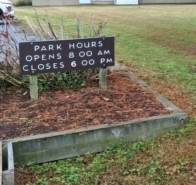 The park hours sign—nature's way of saying "we're open, but even wilderness needs some alone time." Early birds get the worms and the best morning light.