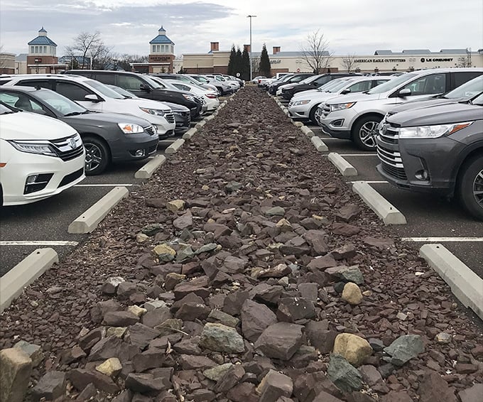 Parking spaces as far as the eye can see - suburban America's version of infinity.