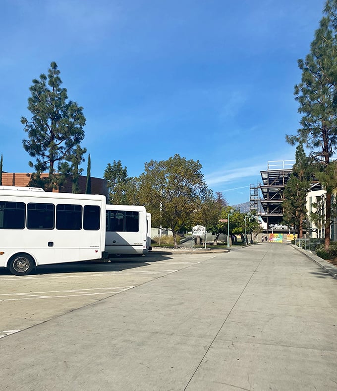 Behind the scenes, shuttle buses stand ready to transport weary shoppers laden with finds—the unsung heroes of the flea market experience.