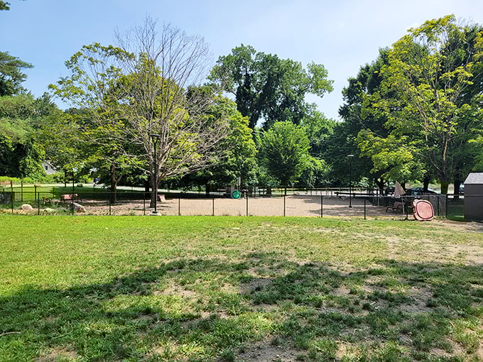 This community dog park proves Greenfield understands the important things in life—places where both humans and their four-legged therapists can socialize.