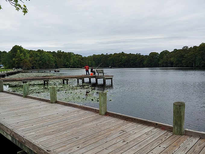 Wooden docks and still waters create the perfect stage for contemplation—or fishing, if philosophical musings make you hungry.