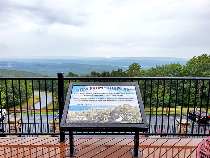 From Penn's Peak, the Pocono Mountains stretch to the horizon, reminding you why they call Pennsylvania "Penn's Woods."