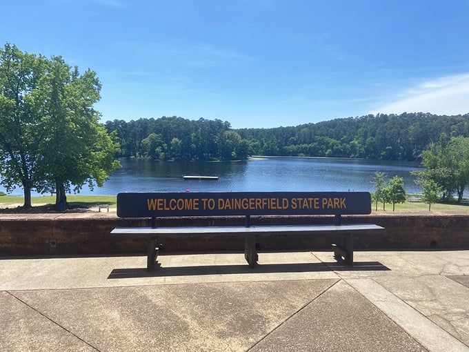 The most honest bench in Texas. It doesn't just offer a view—it announces exactly what you're getting. Truth in advertising!