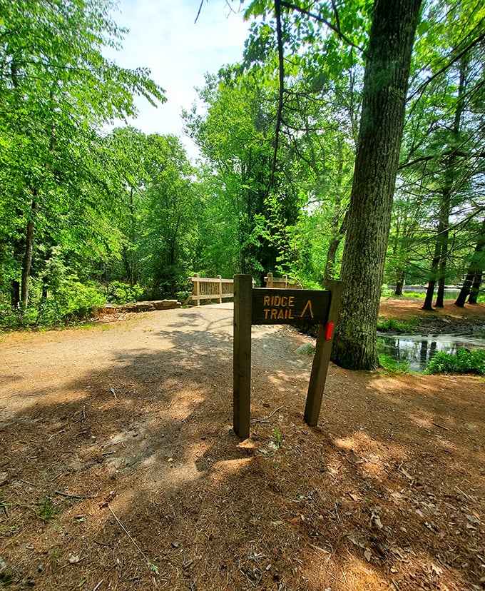 Ridge Trail beckons with promises of forest discoveries. Follow the sign, find yourself—it's that simple.