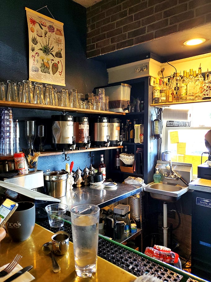 The drink station isn't just functional—it's a laboratory of morning happiness with coffee urns standing ready for duty.
