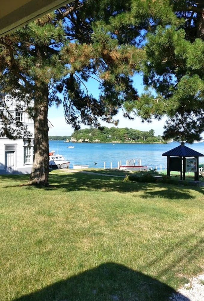That perfect spot where shade meets shoreline. The tree's gentle protection creates nature's own VIP lounge for overheated summer visitors.
