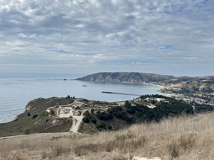 The rugged beauty of Shell Beach Bluff Trail offers dramatic vistas where land meets sea in a spectacular geological handshake.