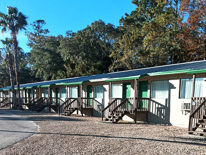No-frills accommodations with million-dollar views—these fishing camp cabins have witnessed more "big catch" stories than any fishing magazine.