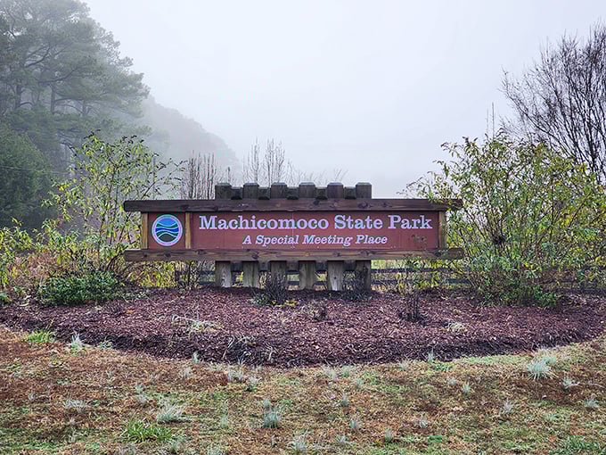 Foggy mornings transform the park entrance into something mystical. The sign doesn't just mark a location—it promises an experience.