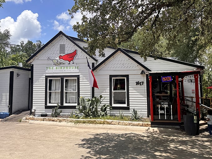 The Birdhouse brings whimsy to historic Gruene, where even the restaurants understand that charm is a full-time occupation here.