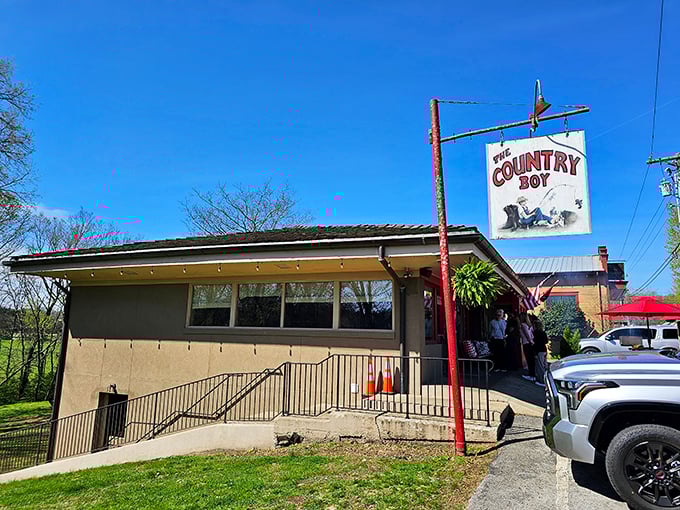 Country Boy Restaurant isn't trying to be fancy—they're too busy perfecting the art of Southern comfort food that hugs your soul.