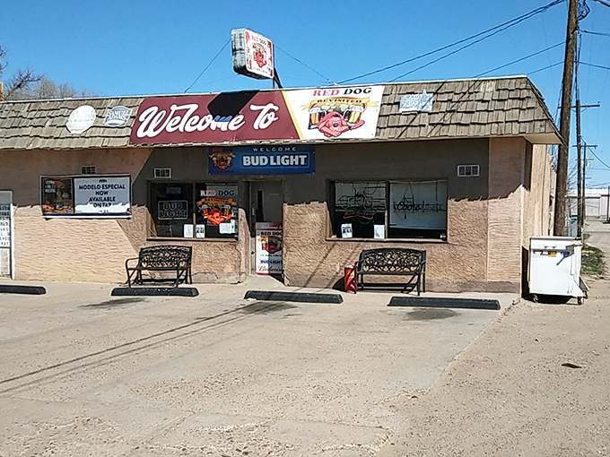 The Red Dog Saloon isn't trying to be trendy—it's the real deal, where the beer is cold, the welcome is warm, and nobody cares about your Instagram followers.