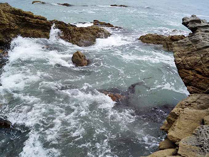 The ocean's retreat reveals a world between worlds. These tide pools host miniature ecosystems that change with each ebb and flow.