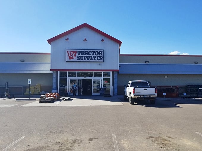 Tractor Supply Co. caters to rural needs with everything from garden supplies to pet food, embodying the practical spirit of Cañon City.