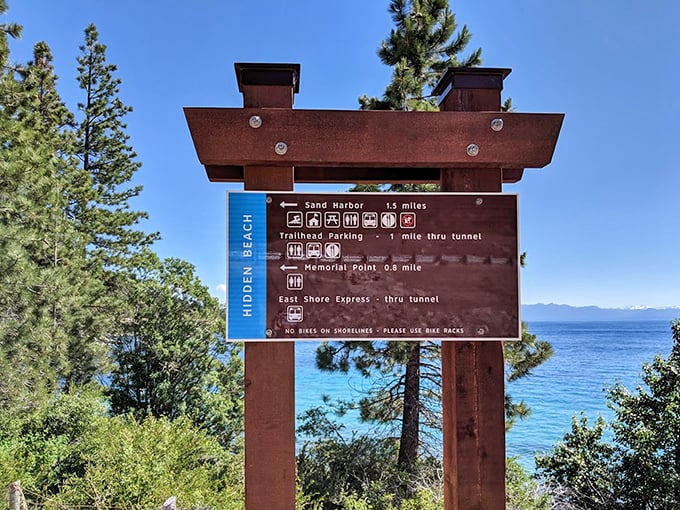 Trail signs pointing to adventure. Choose your own outdoor story, each path promising its own brand of magic.
