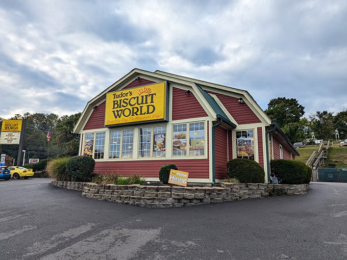 Tudor's Biscuit World stands as a beacon of breakfast hope, where carb-counting goes to die and happiness comes in buttery, flaky form.