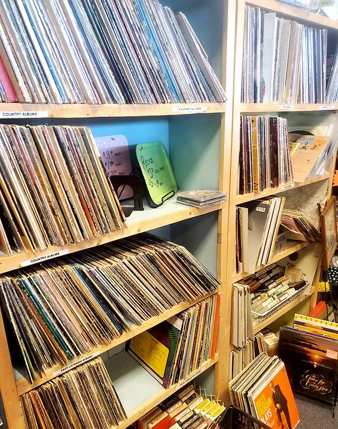 Vinyl records organized by genre—each album cover a mini time capsule of graphic design history. Country albums: where heartbreak sounds better with a little scratch and pop.