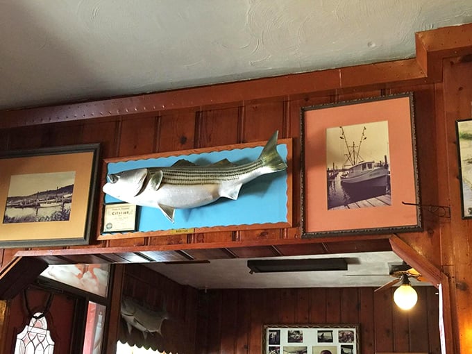 The walls tell stories of maritime adventures and record catches, while mounted fish keep watchful eyes on diners attacking their seafood feasts.